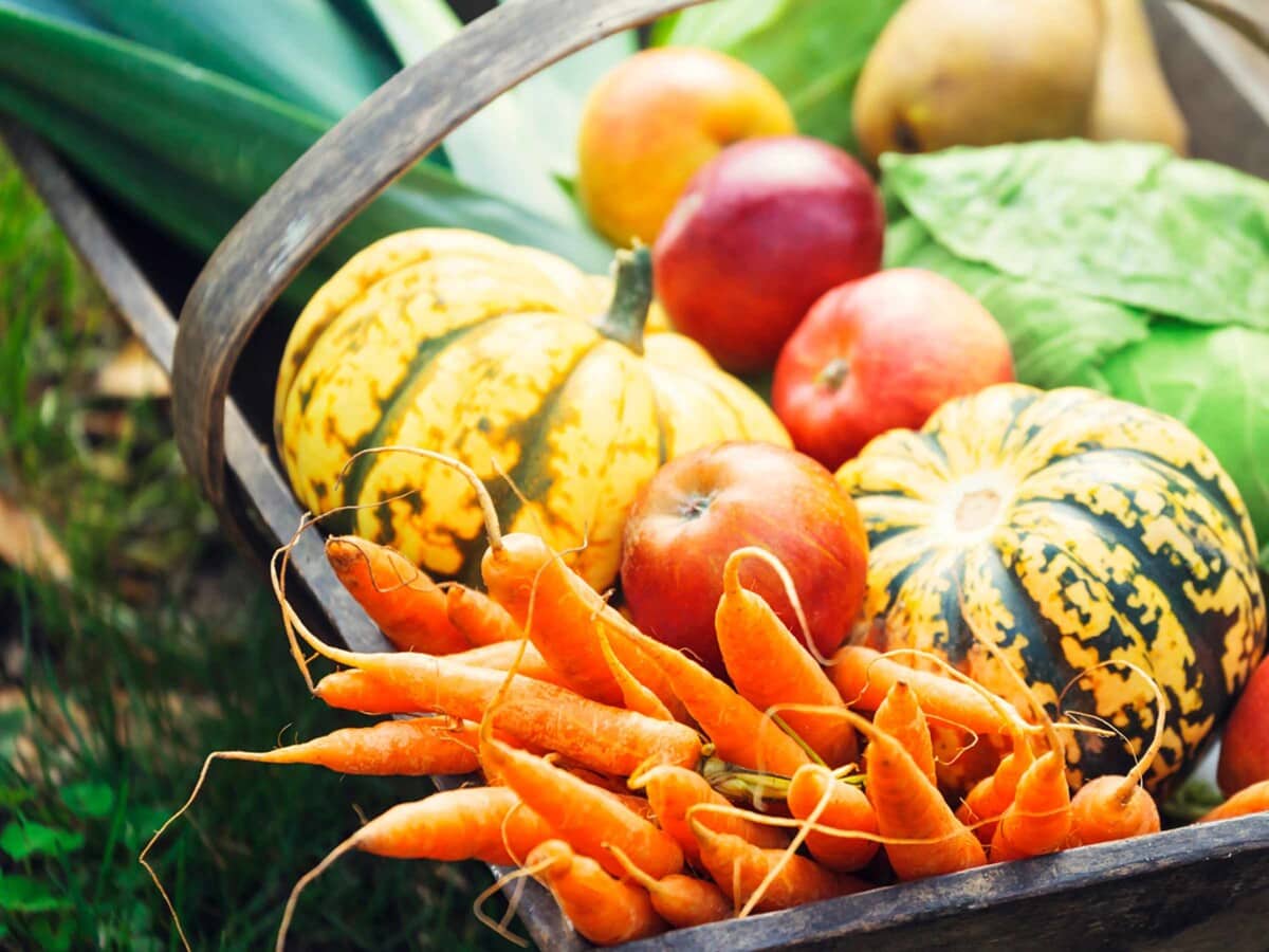 Manor Food Gourmet und Geschenke