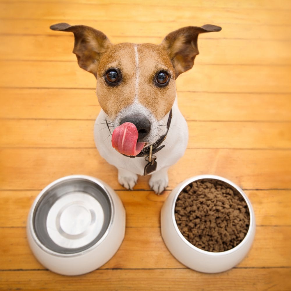 Qualipet | Emmen Center